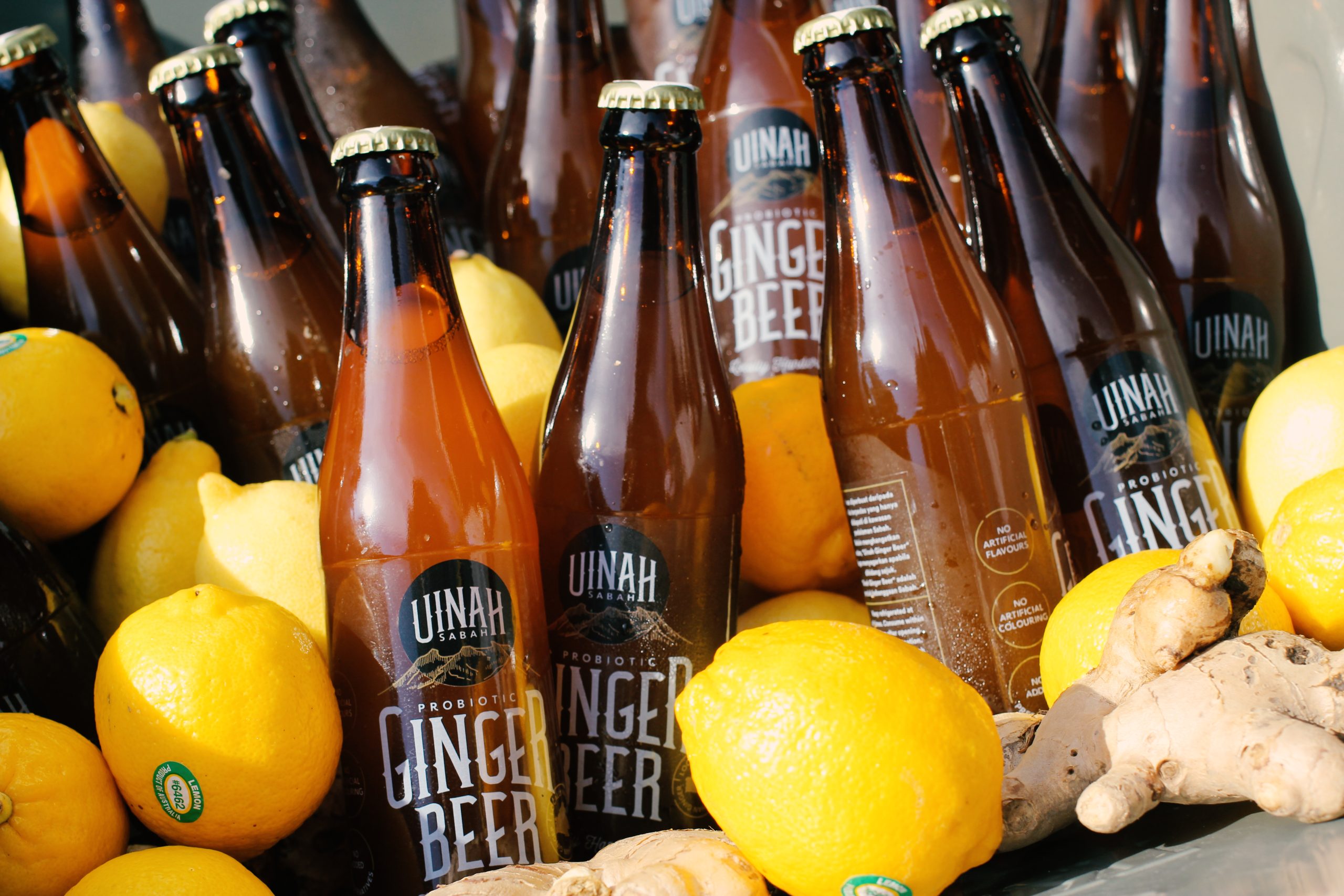 Quench Your Thirst With Sabah's Very Own Special Ginger Beer - Borneo ...
