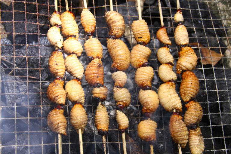 BiG Trail: 10 Must Eats Around Borneo! - Borneo Insider's Guide