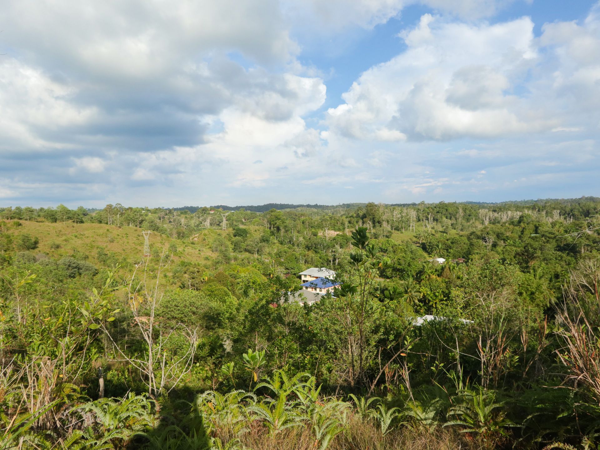 BiG Feature: Brunei's Hidden Gems - 5 Hiking Trails To Explore - Borneo ...